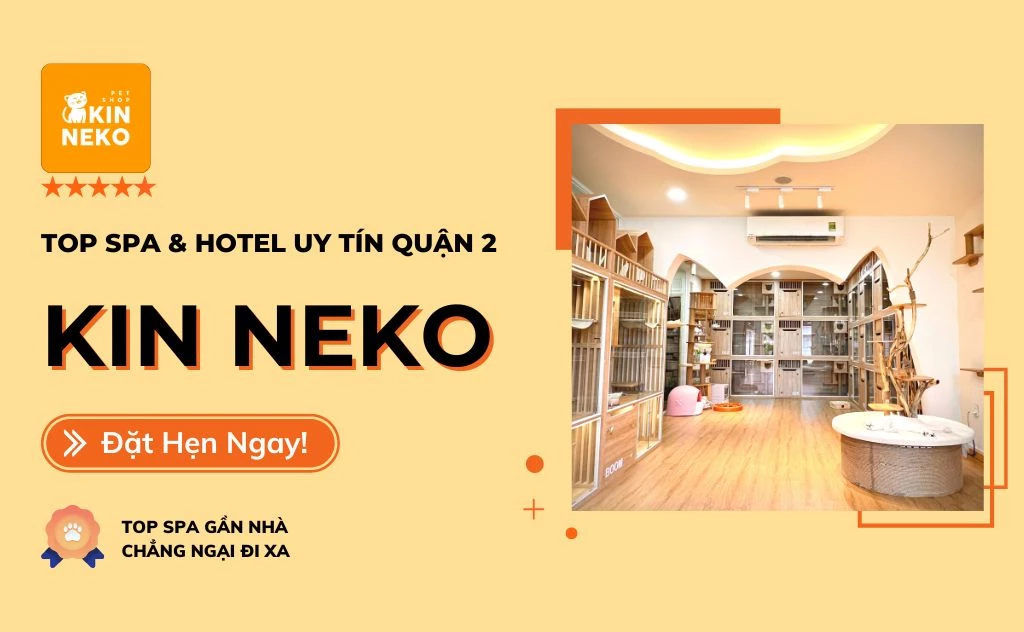 Kin Neko - Spa & Hotel Uy Tín Quận 2 Dành Cho Thú Cưng