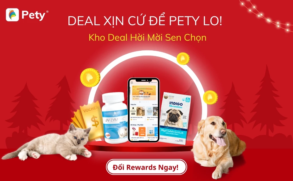 Noel Có Mặt Mọi Ngõ - Pety Rủng Rỉnh Nhiều Quà To